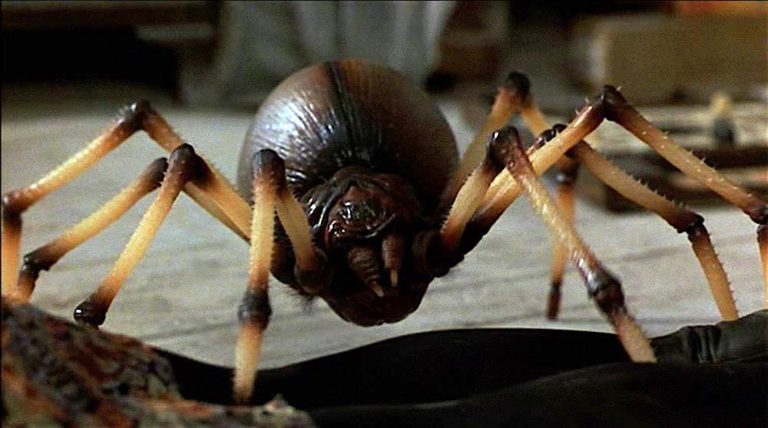 Jumanji - Large Movie Prop Spider - HeroProp.com