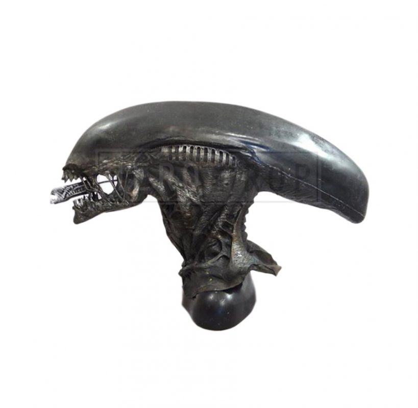 Screen-used Alien Head from AVP - HeroProp.com