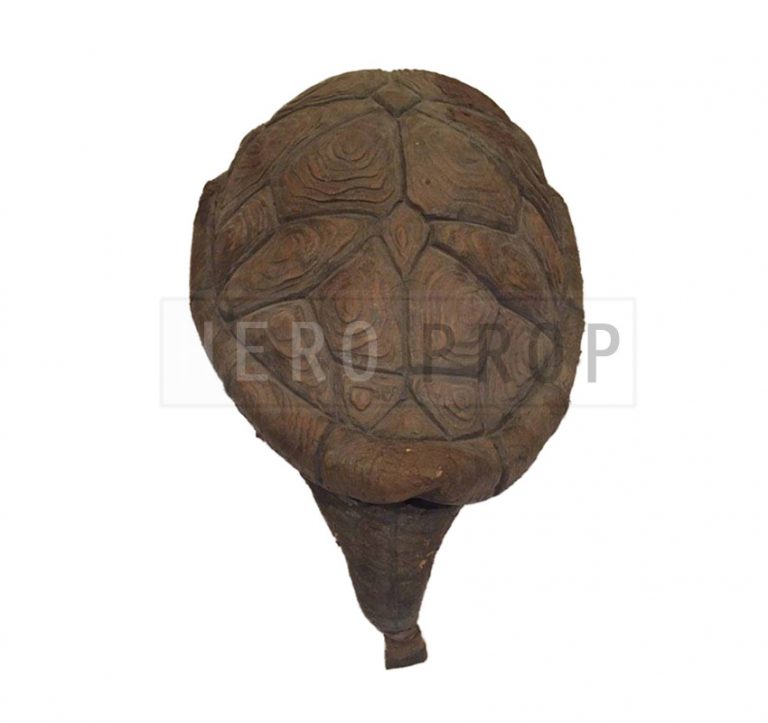 Ninja Turtles – The Next Mutation Donatello Hero Turtle Shell ...