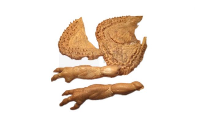 Critters 2 Critter Collection of Arms and Teeth - HeroProp.com