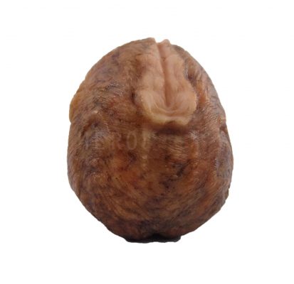 Alien: Covenant Screen Used Egg from David's Lab - HeroProp.com