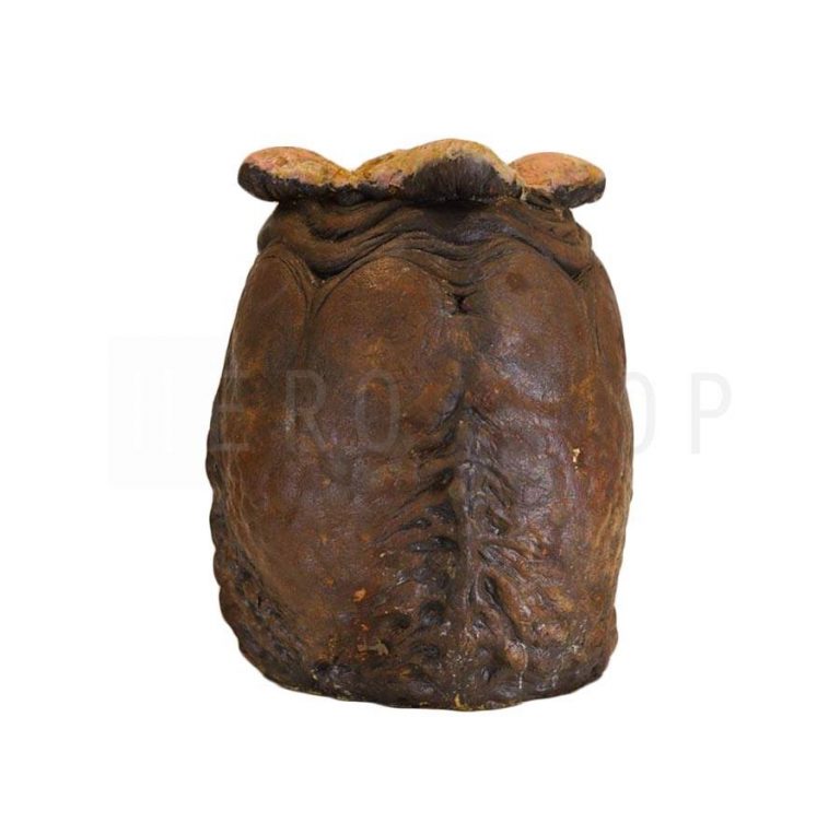 Aliens vs. Predator Movie Prop Alien Egg - HeroProp.com