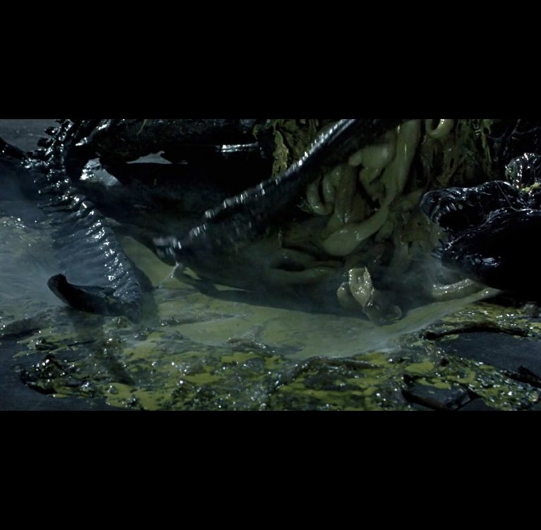 AVP: Alien vs. Predator Alien Head Display - HeroProp.com