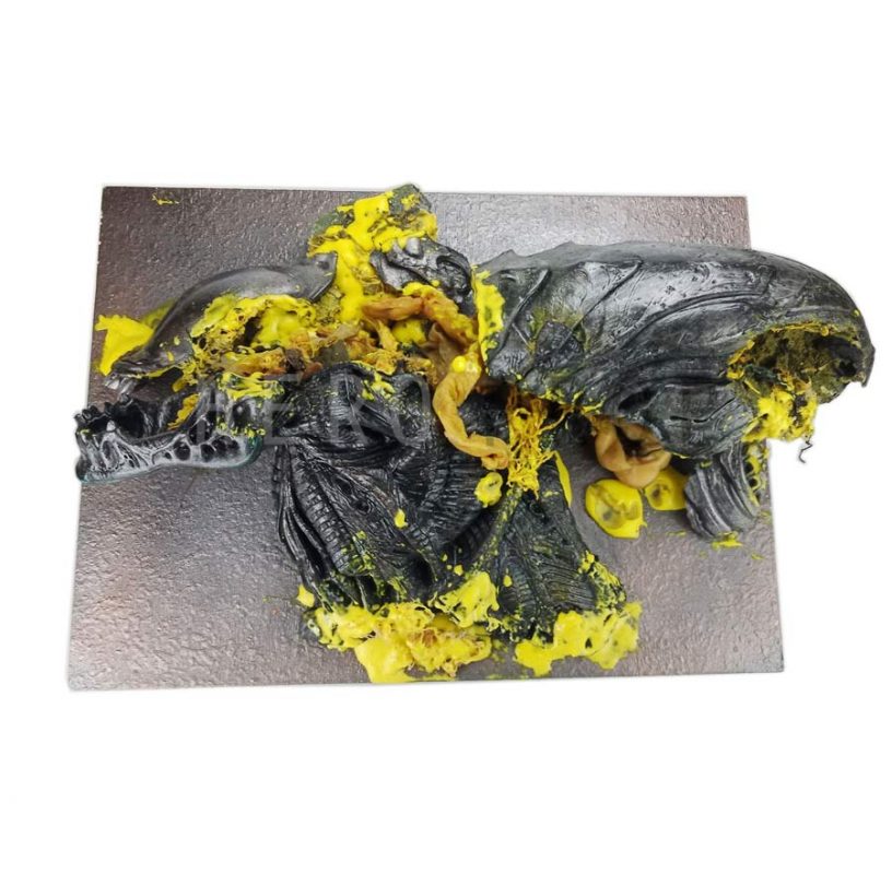 AVP: Alien vs. Predator Alien Head Display - HeroProp.com