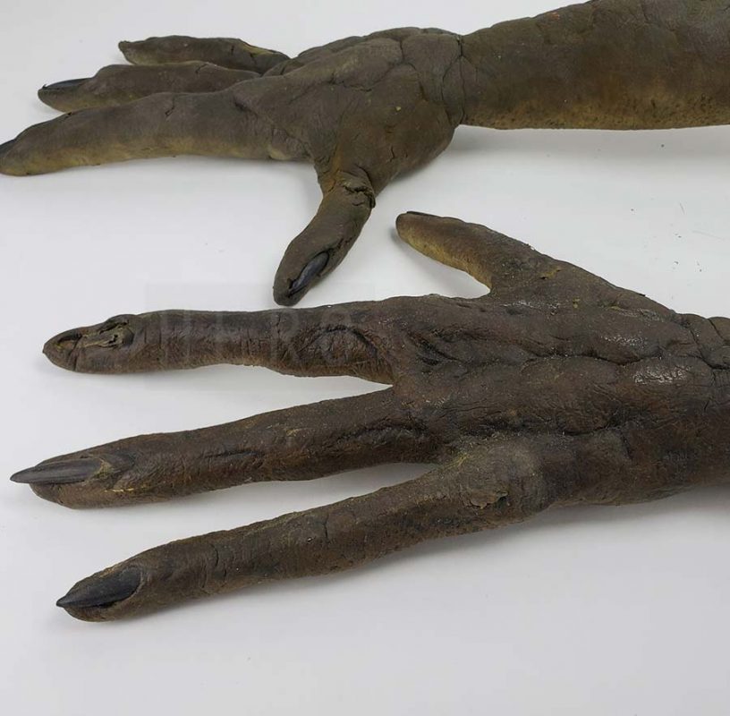 X-Files The Movie Animatronic Alien Arms - HeroProp.com