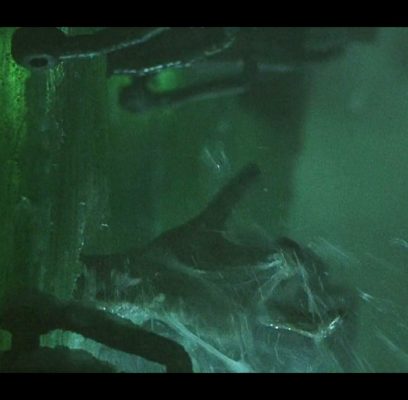 X-Files The Movie Animatronic Alien Arms - HeroProp.com