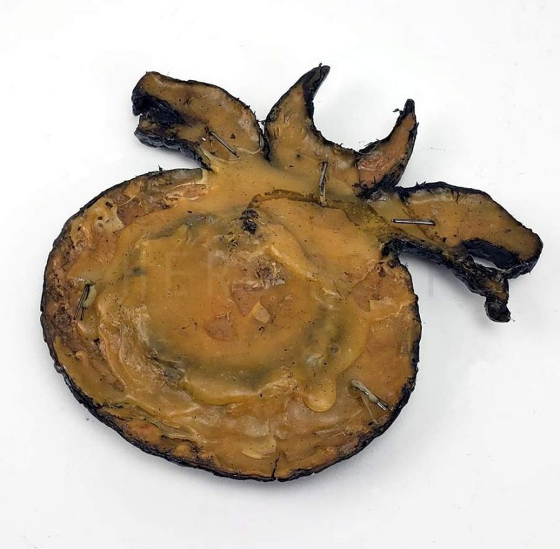 Conan The Barbarian Set Temple Guard Chest Emblem - HeroProp.com