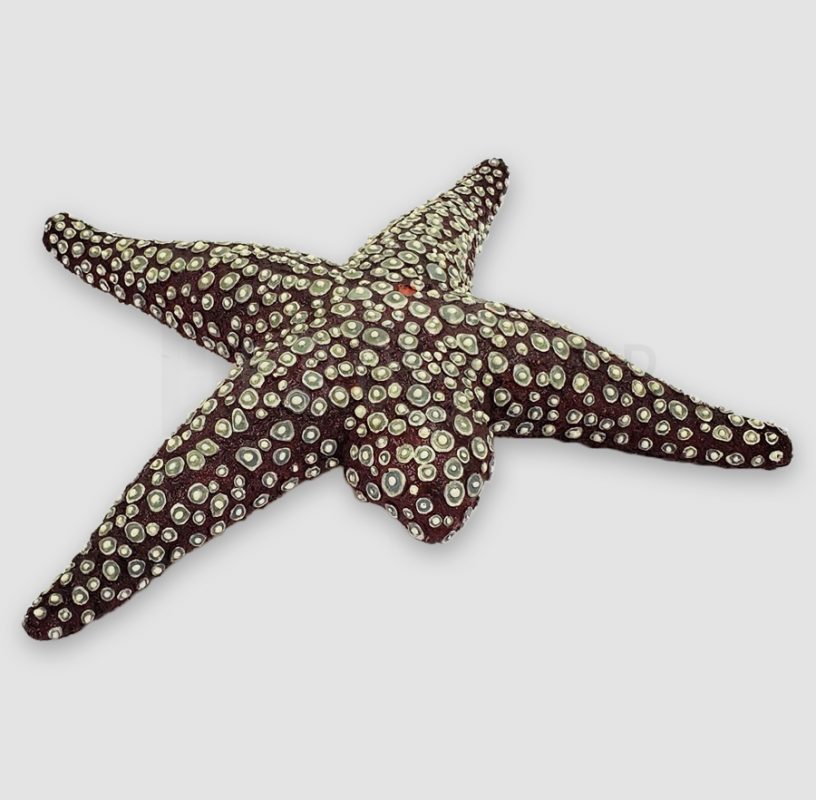 Hulk (2003) - Screen Matched Starfish from Experiments Scene - HeroProp.com