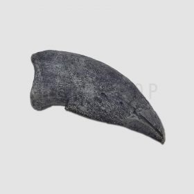 Articulated Raptor Feet from Jurassic Park - HeroProp.com