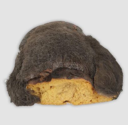 Critters 2: The Main Course "Critter Ball" Head - HeroProp.com