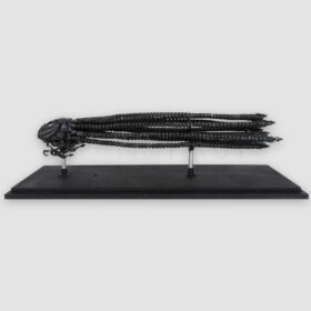 Prometheus - Spore Containers - HeroProp.com