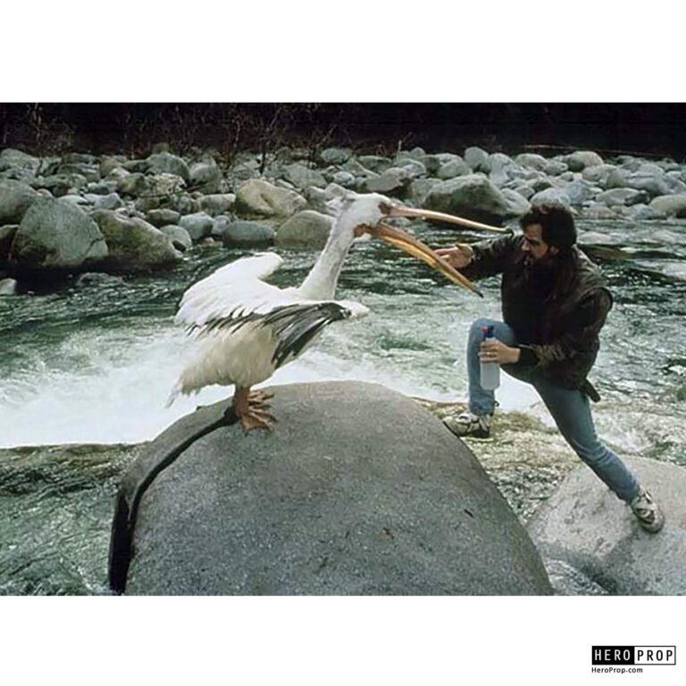 Jumanji - Full-size Animatronic Pelican Puppet - HeroProp.com