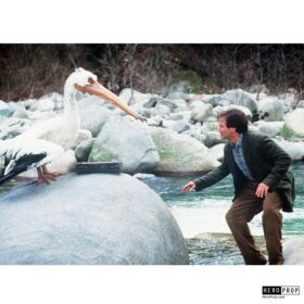 Jumanji – Full-size Animatronic Pelican Puppet – HeroProp.com