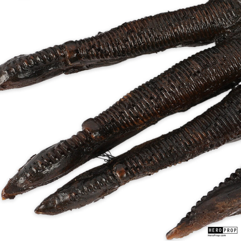 Alien (1979) - Xenomorph Hand - HeroProp.com