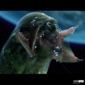 Alien vs Predator - Hybrid Chestburster - HeroProp.com