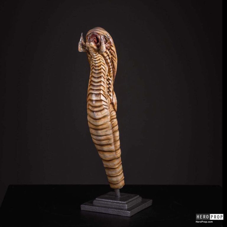 Alien vs Predator – Hybrid Chestburster – HeroProp.com