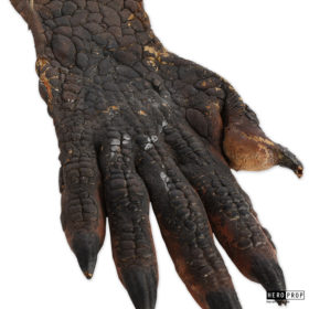 AVP: Alien vs. Predator - Scar Predator Hands