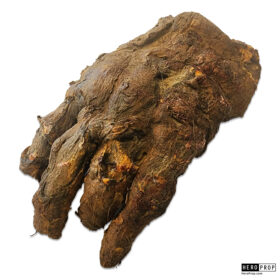 HeroProp.com - Movie Memorabilia