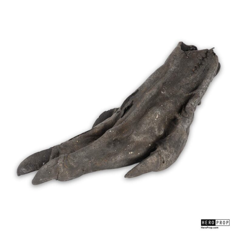 Alien vs. Predator (2004) - Xenomorph Foot - HeroProp.com