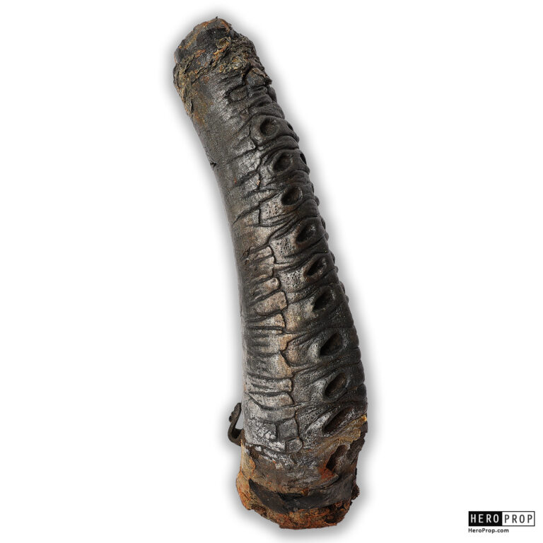 Alien vs. Predator (2004) – Xenomorph Spine – HeroProp.com